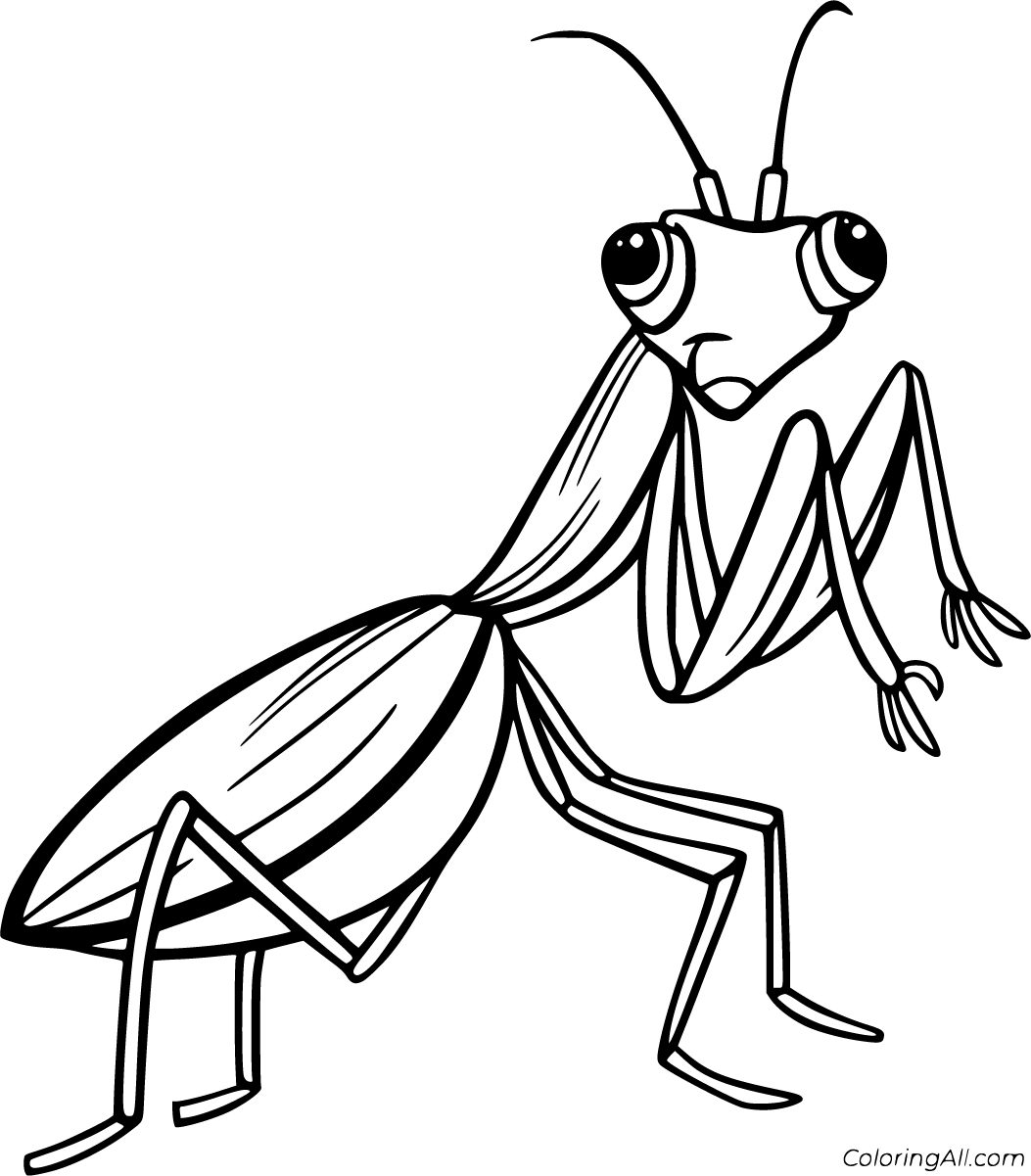 Mantis Coloring Pages (39 Free Printables) - ColoringAll