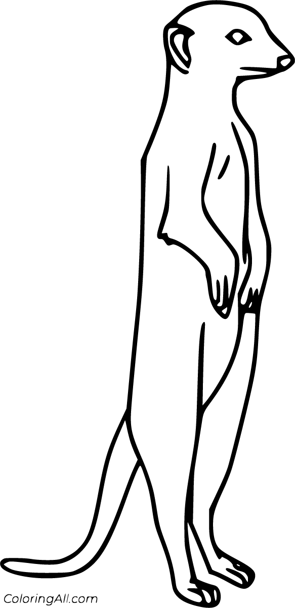 Meerkat Coloring Pages (31 Free Printables) - ColoringAll