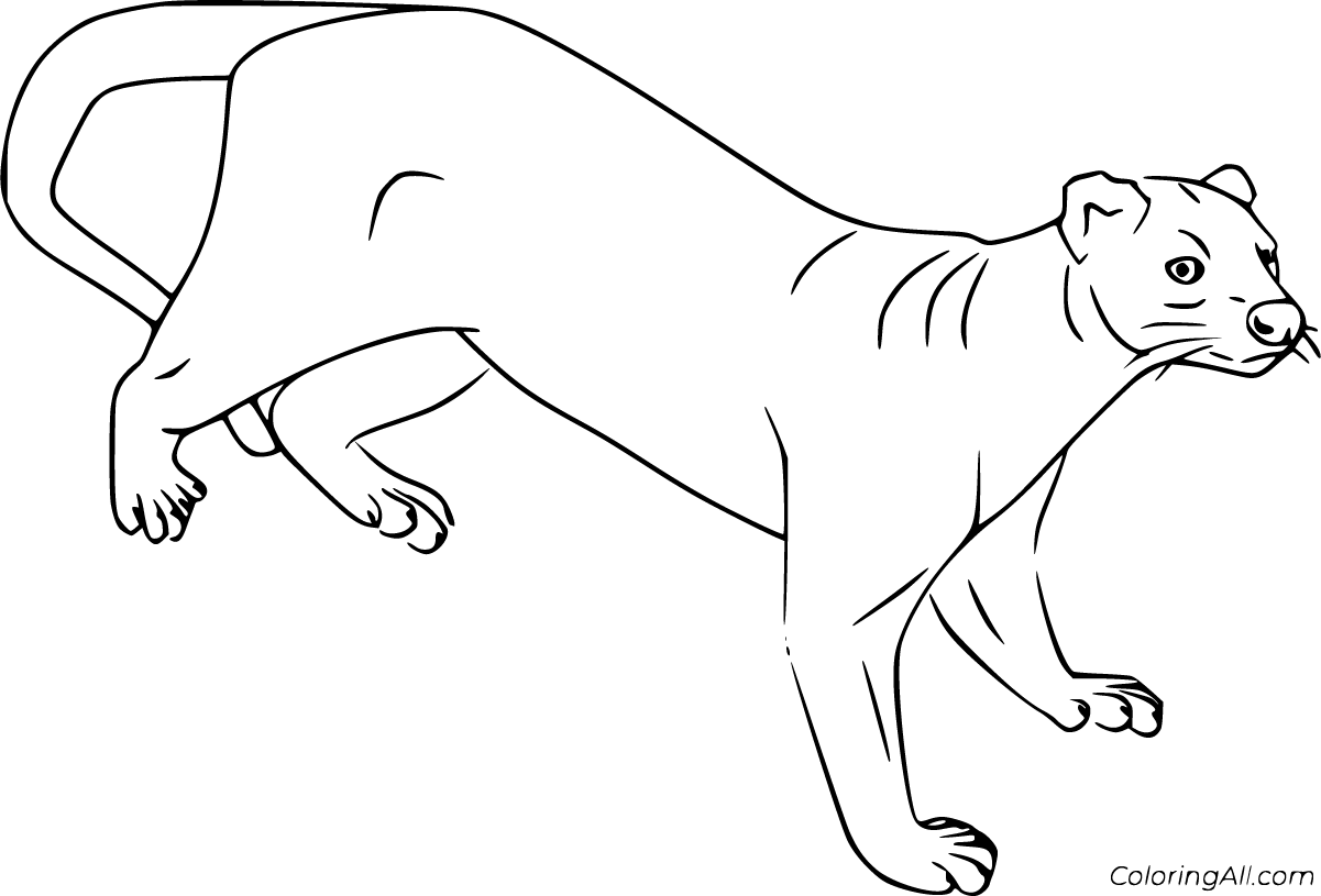 Fossa Coloring Pages (4 Free Printables) - ColoringAll